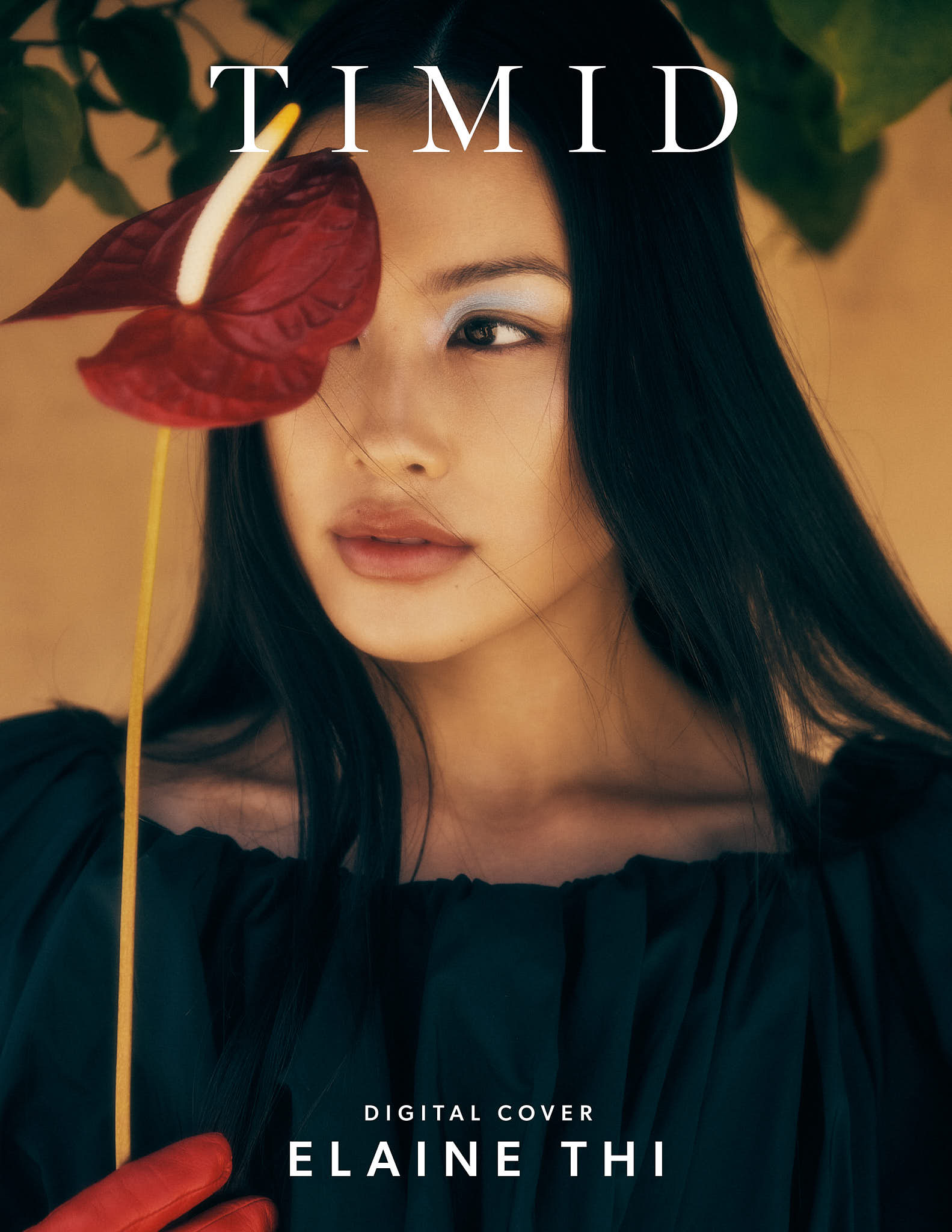 Timid Magazine | Elaine Thi